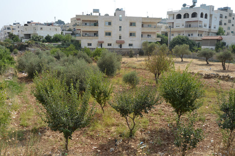 Al-Khader - Welcome To Palestine