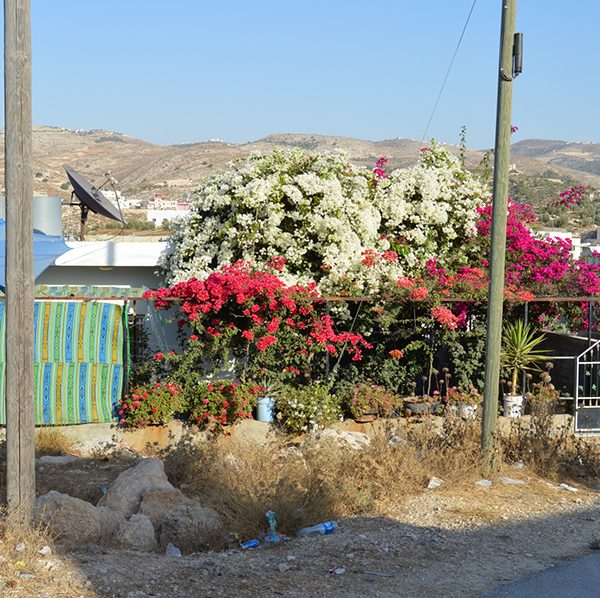 Hebron - Welcome To Palestine