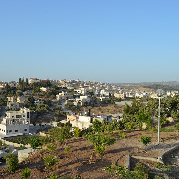 Tulkarem - Welcome To Palestine