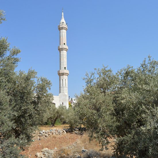 Salfit - Welcome To Palestine