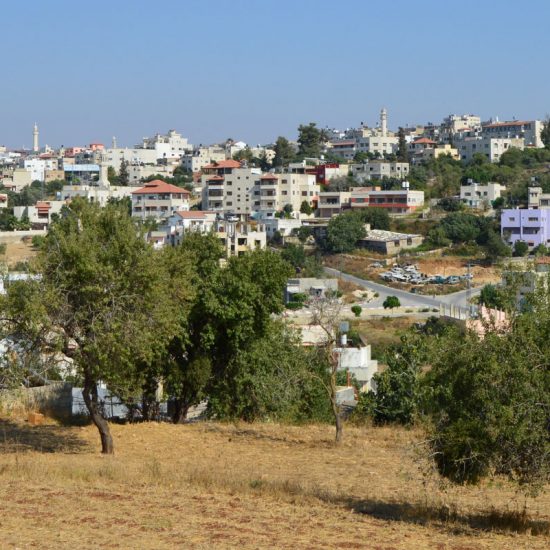Salfit - Welcome To Palestine