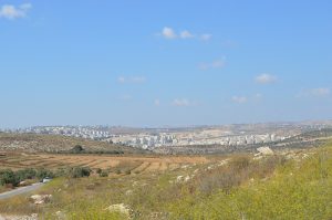 Saffa - Welcome To Palestine
