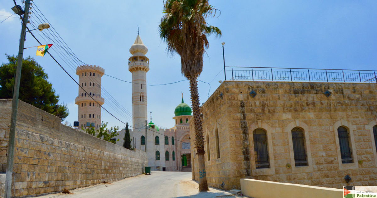 Nuba - Welcome To Palestine